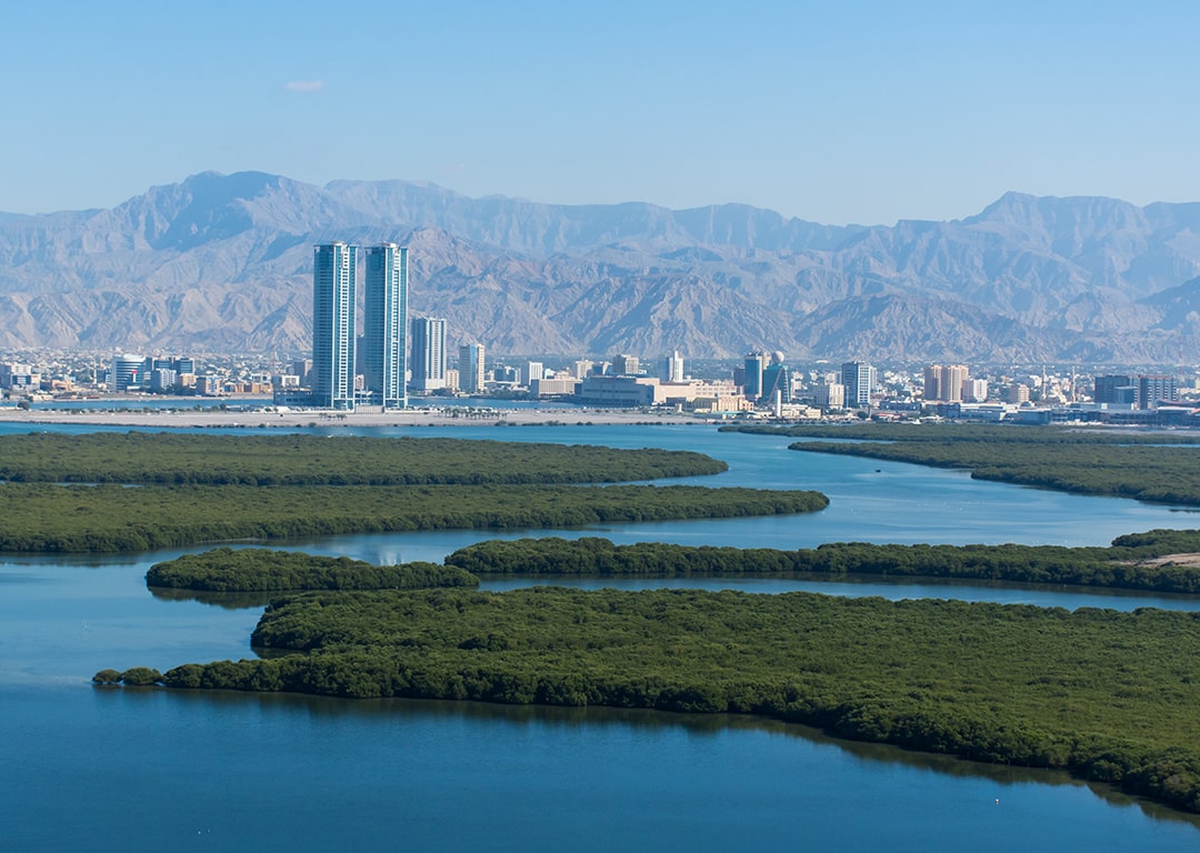 Our Fleet – Limore